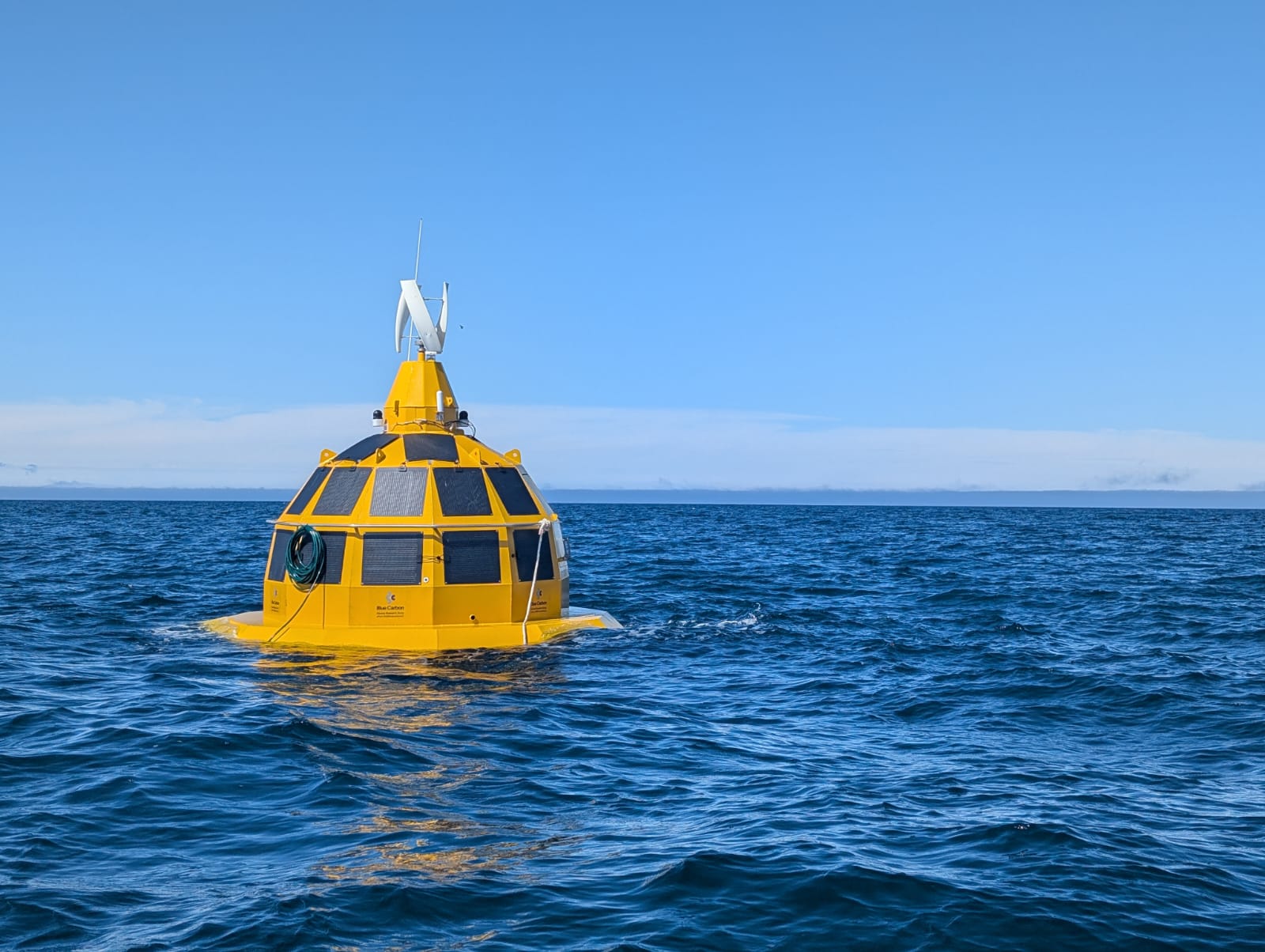 Blue Carbon